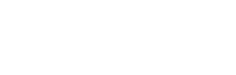 NetApp NS224 Disk Shelf - 2U NVMe/SSD - Pre Rack IT