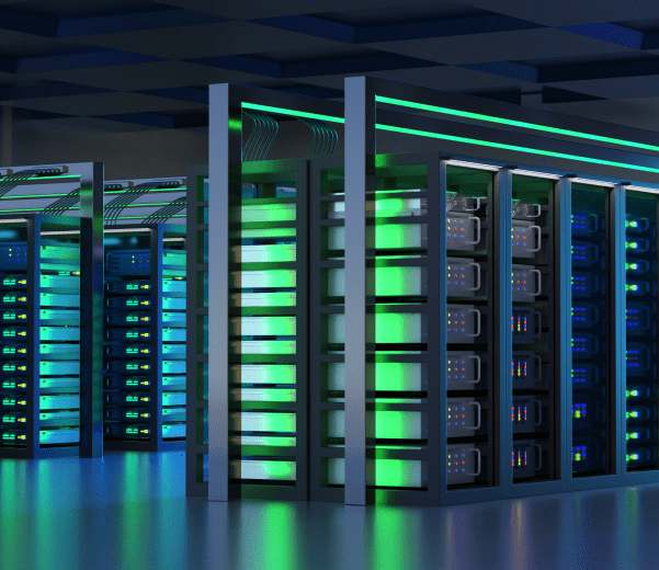 NetApp DS224C Disk Shelf - 2U SAS/SSD - Pre Rack IT